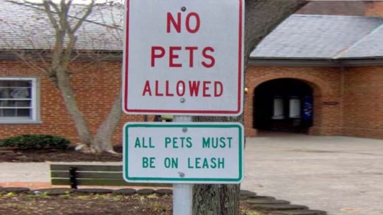 Try Not to Laugh on these 33 Most Humorous Road Signs