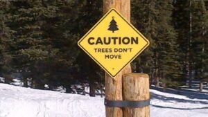 Try Not to Laugh on these 33 Most Humorous Road Signs