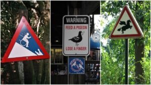 Try Not to Laugh on these 33 Most Humorous Road Signs